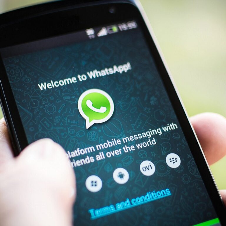 Check out the 35 best WhatsApp status quotes! | AppTuts